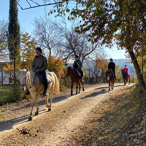 Horseback Riding Tours - Horseback Georgia